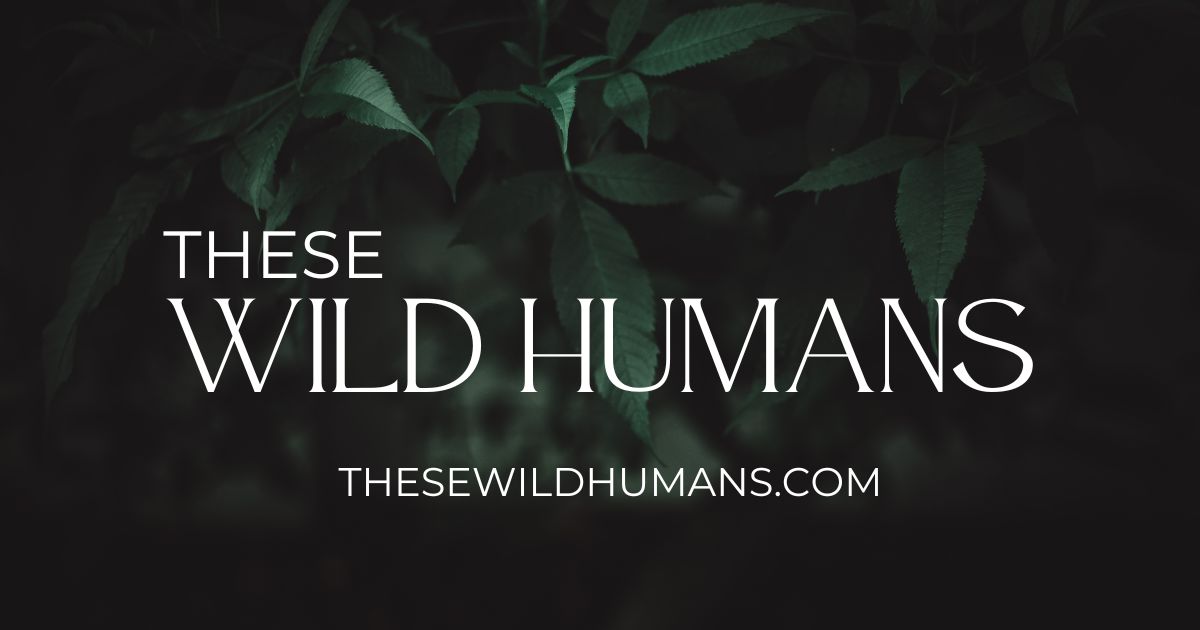 Leadership-Integration-Connection-These Wild Humans
